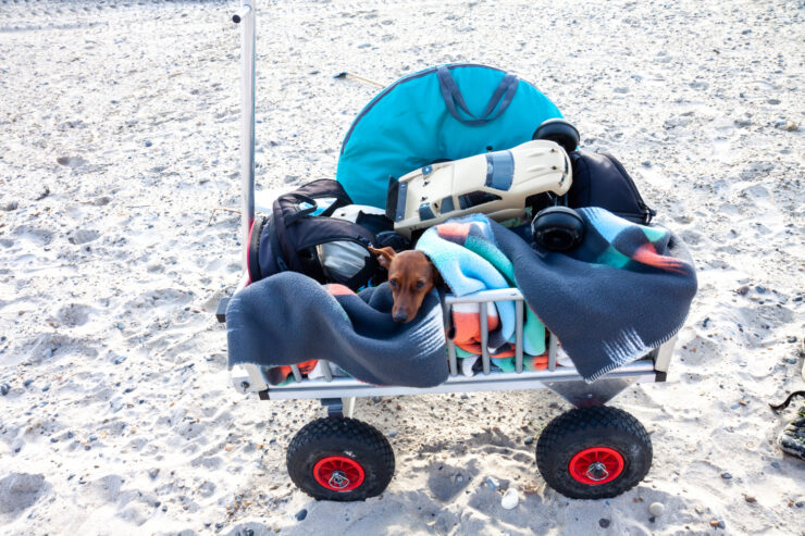Bollerwagen Strand: Die 7 besten Modelle 2025? | BeyondSurfing