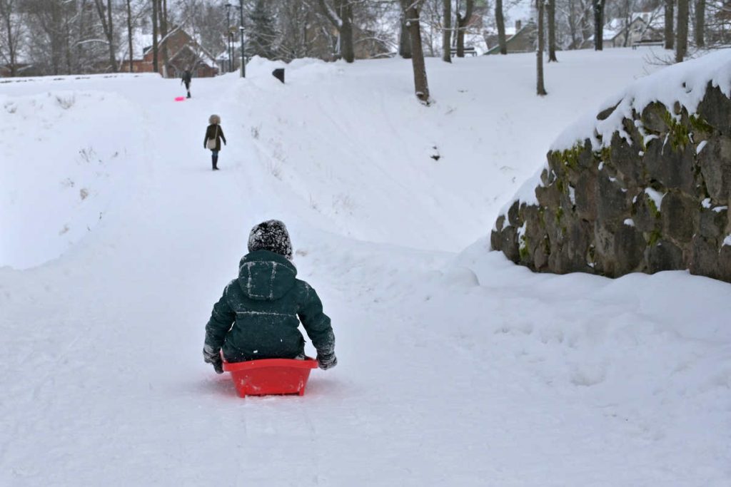 Die besten Schneebobs? (Test & Vergleich 2026)