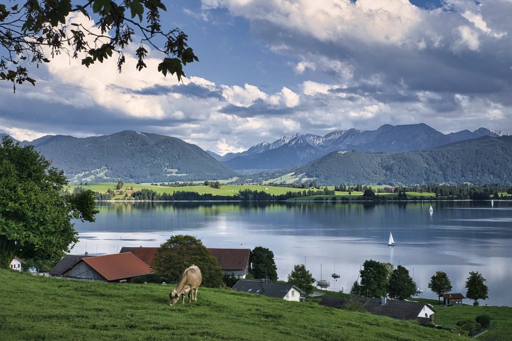 Die 9 besten SUP Touren und Spots am Forggensee? | BeyondSurfing