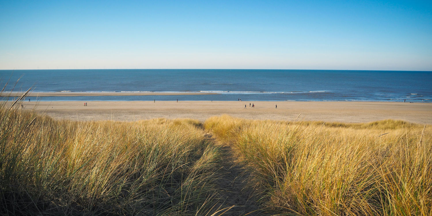 Die besten Surfcamps in Holland? (Vergleich)