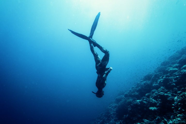 Tauchen: Alles Wissenswerte zum Tauchsport | BeyondSurfing