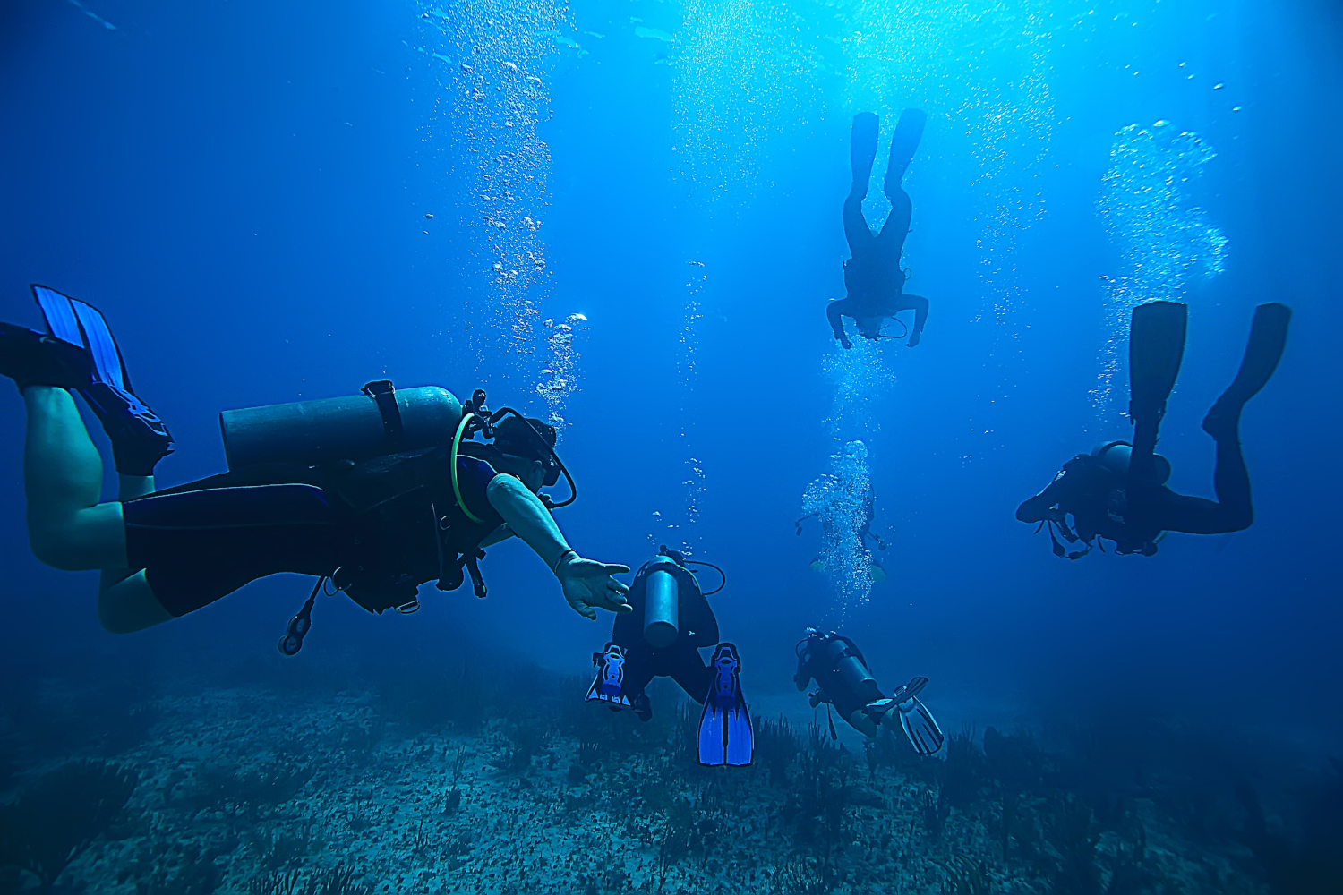 Tauchen lernen: 7 Tipps für Anfänger? | BeyondSurfing