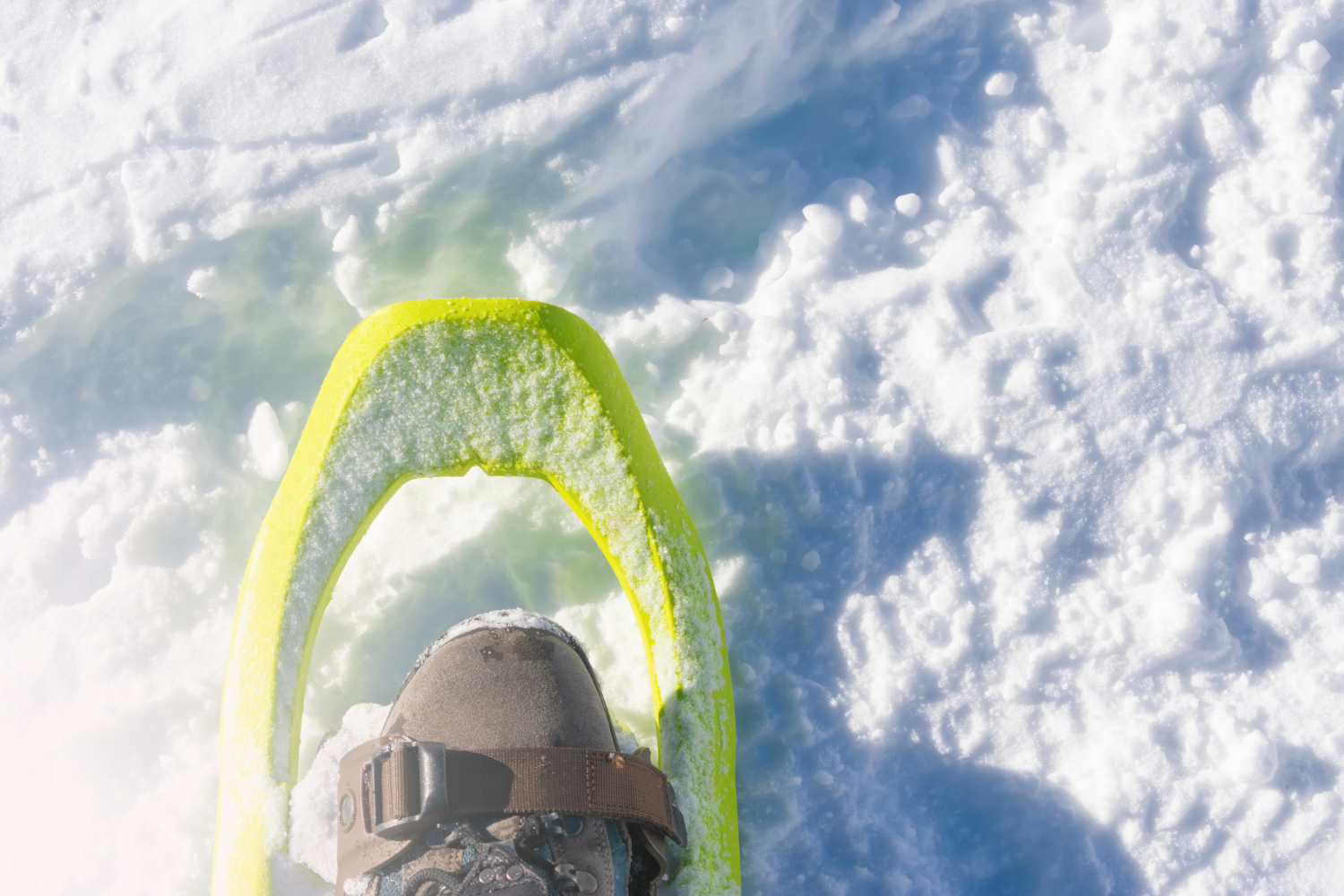 Die besten Damen Schneeschuhe? (Test & Vergleich 2026)
